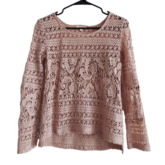 Dani Collection | Sweaters | Dani Collection Crochet Top | Poshmark